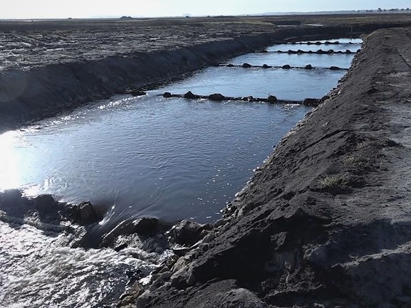 Nieuwe natuur in Paardetangen - Hunze - provincie Drenthe