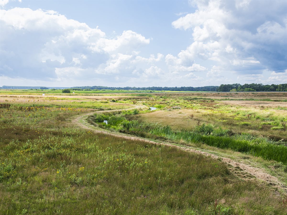 Hoogtepunten uit de Hunze en een vooruitblik op 2024 | Hunze ...